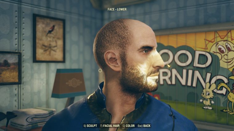 Fallout 76 character creation: how one can make your excellent Vault 76 ...